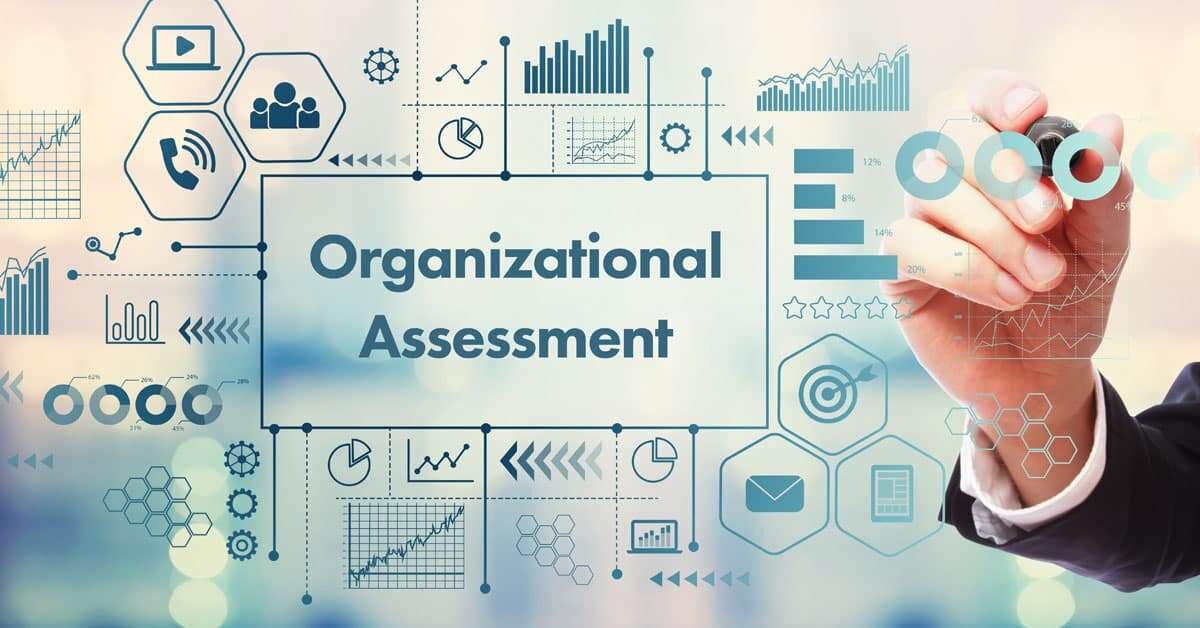 Organizational Excellence Assessment - CONNEX™ MEP
